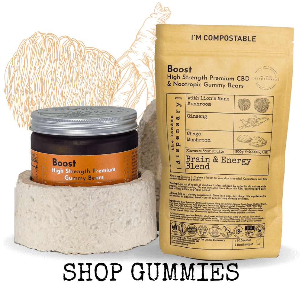 The Complete Guide To Adaptogens | The London Dispensary